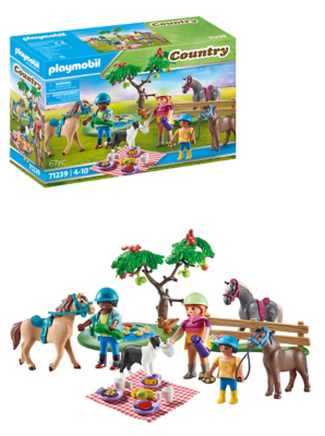 PLAYMOBIL 70961 Princess Picnic with Foal Promo Pack | Toys & Character ...