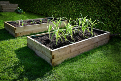 Forest Garden Caledonian Rectangular Raised Bed 90 x 180cm | Outdoor & Garden | George at ASDA