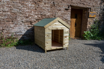Forest Garden Dog Kennel | Outdoor & Garden | George at ASDA
