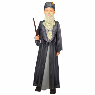 Amscan Dumbledore Grey Fancy Dress Costume | Kids | George at ASDA