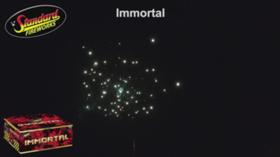 Standard Immortal Single Ignition Firework - 125 Shots | Collections ...