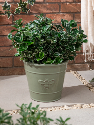 Green Glazed Terracotta Bee Planter | Outdoor & Garden | George at ASDA