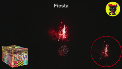 Black Cat Fiesta Single Ignition Firework - 37 Shots | Collections ...