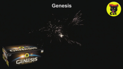 Black Cat Genesis Single Ignition Firework - 90 Shots | Collections ...