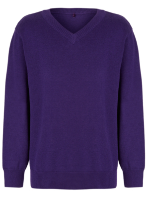 School V-Neck Jumper - Purple | School | George at ASDA
