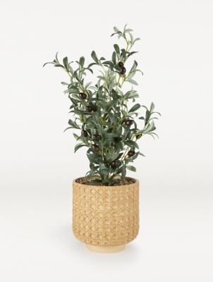 Artificial Olive Tree In Cane-Effect Pot | Home | George at ASDA