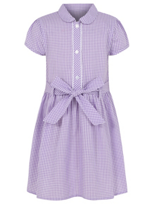 Girls Lilac Plus Fit Gingham School Dress | School | George