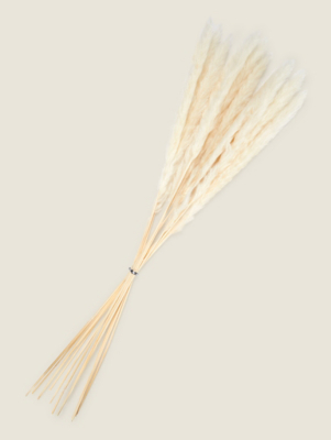 Bleached Grass Stem | Home | George at ASDA
