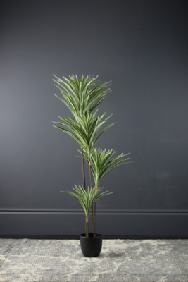 Real Touch Variegated Yucca 130Cm | Home | George at ASDA