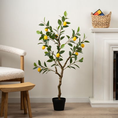 110cm Lemon Tree | Home | George at ASDA