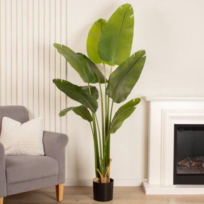 180cm Real Touch Banana Tree | Home | George at ASDA
