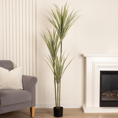 160cm Yucca Tree | Home | George at ASDA