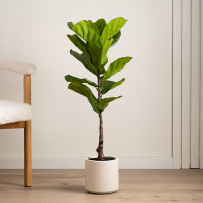 90cm Real Touch Fiddleleaf Fig Tree in Chunky White Pot | Home | George ...
