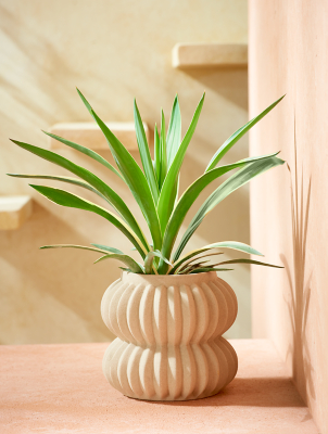 Cream Ribbed Vertical Double Planter | Outdoor & Garden | George at ASDA