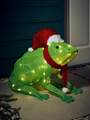 Green Large Frog Outdoor Christmas Light | Christmas | George at ASDA