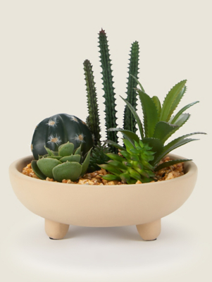 Beige Cactus Bowl | Home | George at ASDA