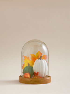 Pumpkin Bell Jar | Home | George at ASDA