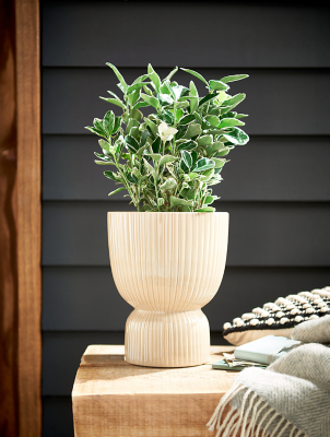 Angled Ribbed Planter | Outdoor & Garden | George at ASDA