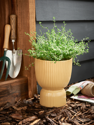 Angled Yellow Planter | Outdoor & Garden | George at ASDA