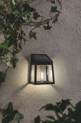 Filament Wall Light | Outdoor & Garden | George at ASDA