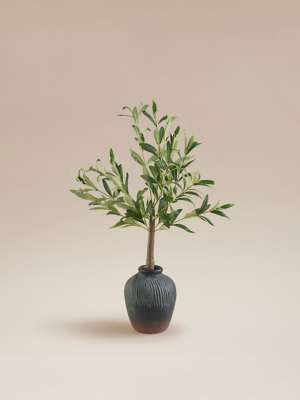 Artificial Olive Plant In Black Pot | Home | George at ASDA