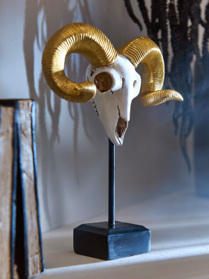 Halloween Skull Decoration | Halloween | George at ASDA