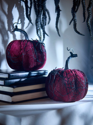 Halloween Velvet Spider Pumpkin Decoration - Set of 2 | Halloween ...