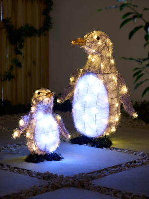 Christmas Penguin Light - Set of 2 | Christmas | George at ASDA