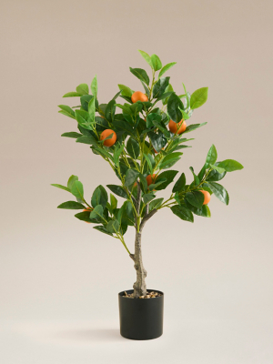 Artificial Orange Tree | Outdoor & Garden | George at ASDA