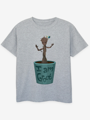 NW2 Guardians Of The Galaxy Groot Kids Grey T-Shirt | Kids | George at ASDA