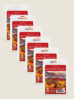 Scentsationals Autumn Valley Wax Cube - Set of 6 | George at ASDA