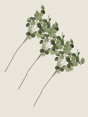 Eucalyptus Spray Stem - Set of 3 | George at ASDA