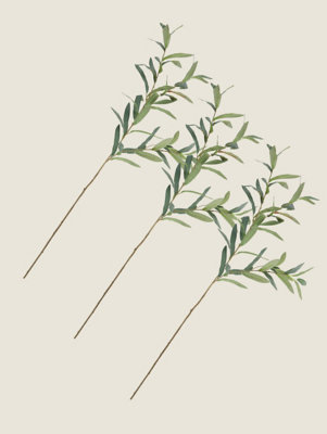 Olive Branch Stem - Set of 3 | George at ASDA