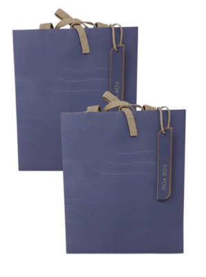 Navy Premium Gift Bag - Set of 2 | George at ASDA