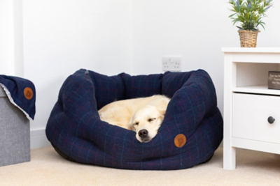 Petface Midnight Tweed Collection | George at ASDA