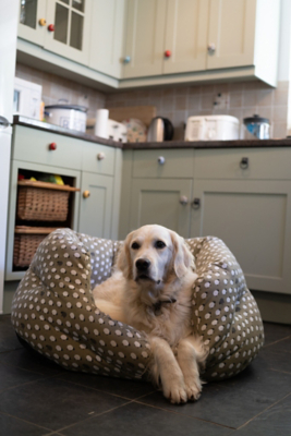 Petface Sheep Collection | George at ASDA